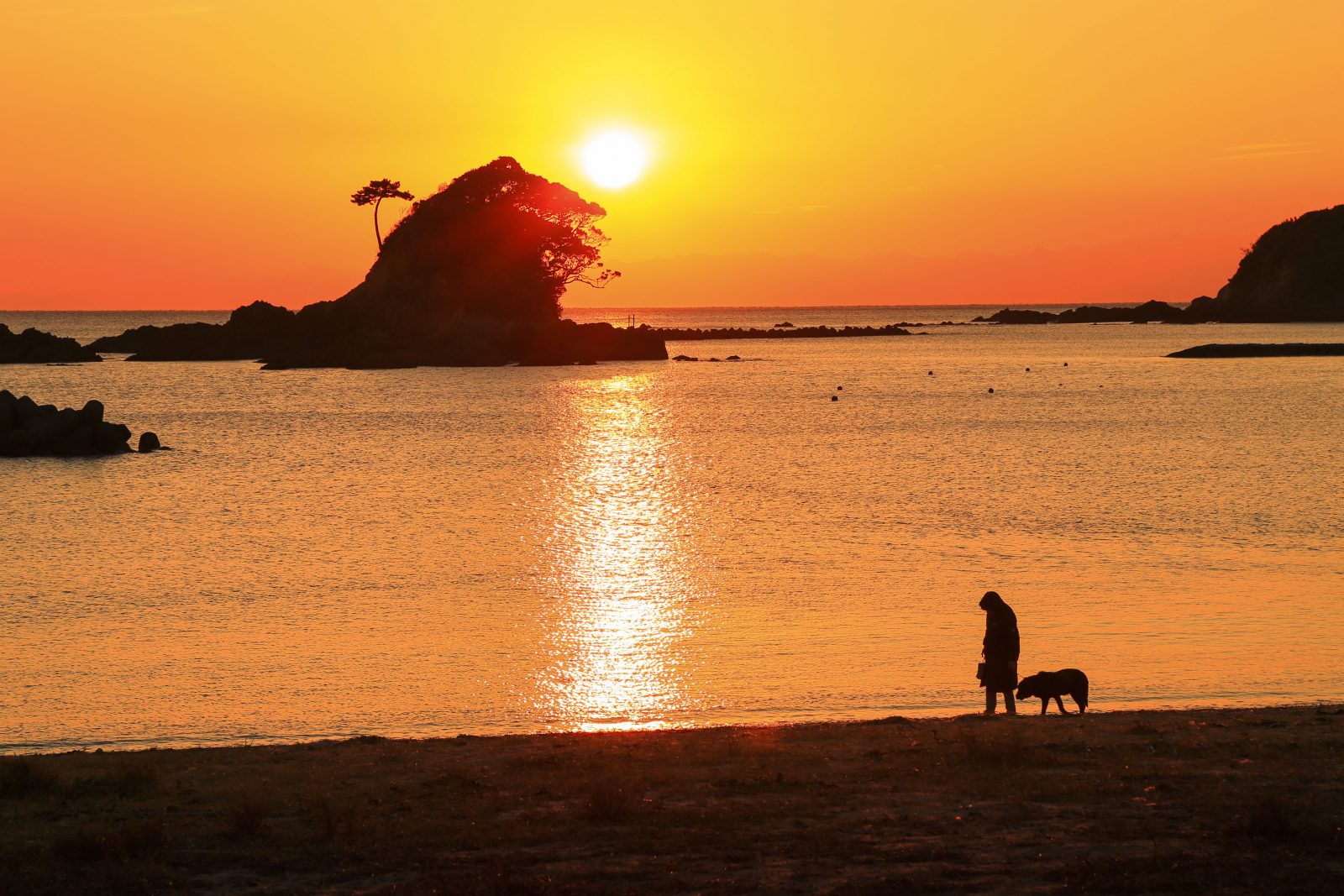 8 Best Destinations for Camping in Japan - Road Trip Japan